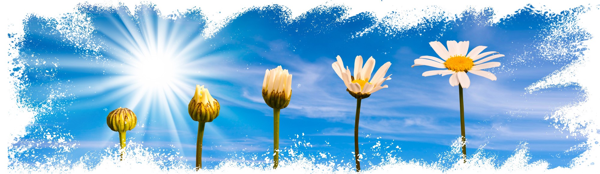 LIBELO | Agence de Marketing Stratégique et Opérationnel